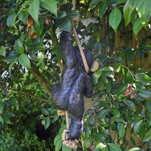 Climbing Monkey Sculpture Rope Hanging Playing Baby Chimpanzee Garden ...