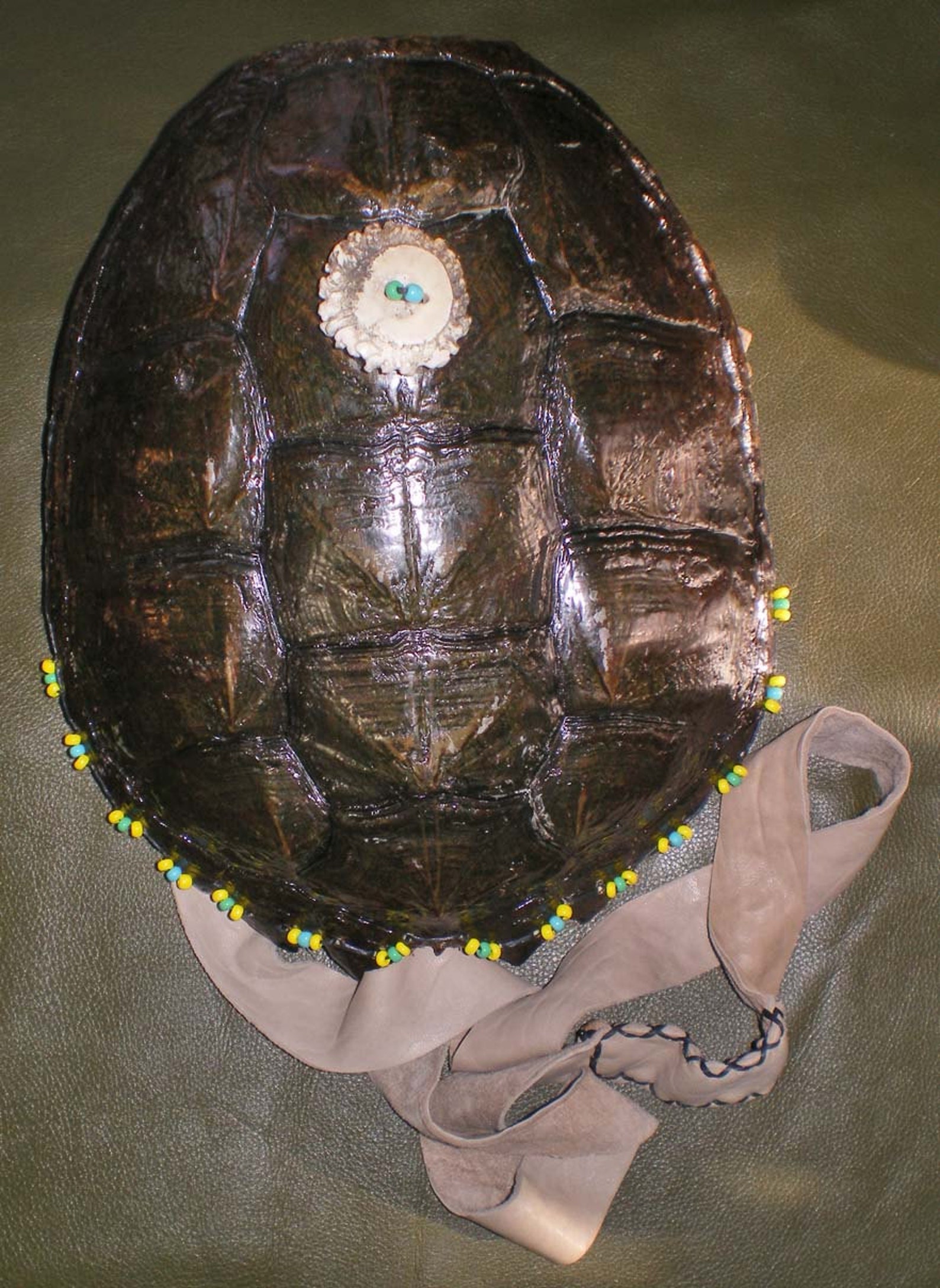 Snapping turtle shell pouch/bag | Etsy