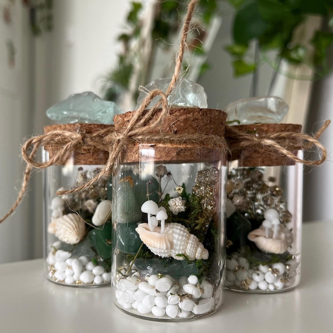 Fairy Seashell Terrarium, Aventurine, Sea Glass & Dried Moss ...