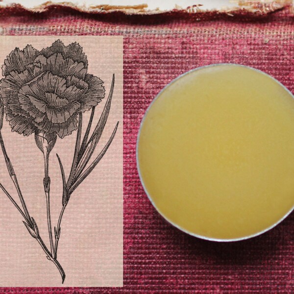 Carnation Perfume - Etsy