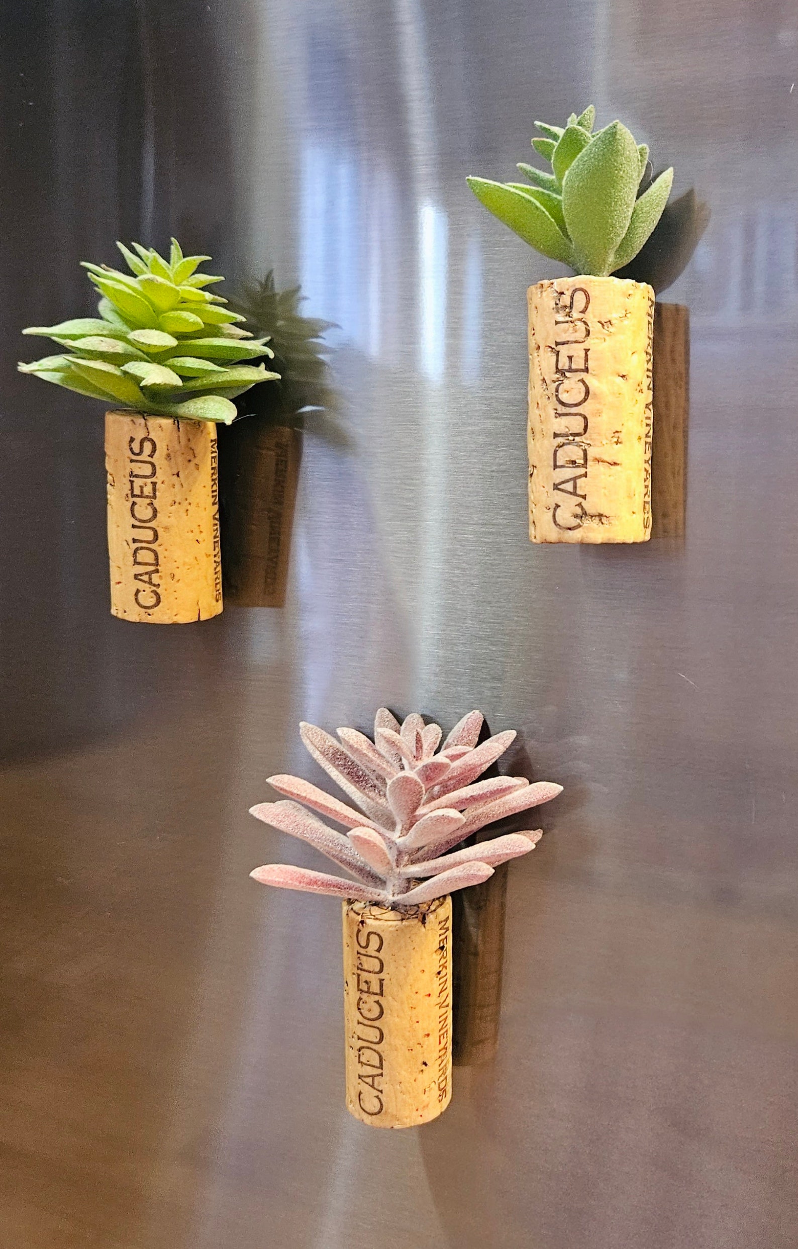 Caduceus Wine Cork Succulent Refrigerator Magnets | Set of 3 - Etsy