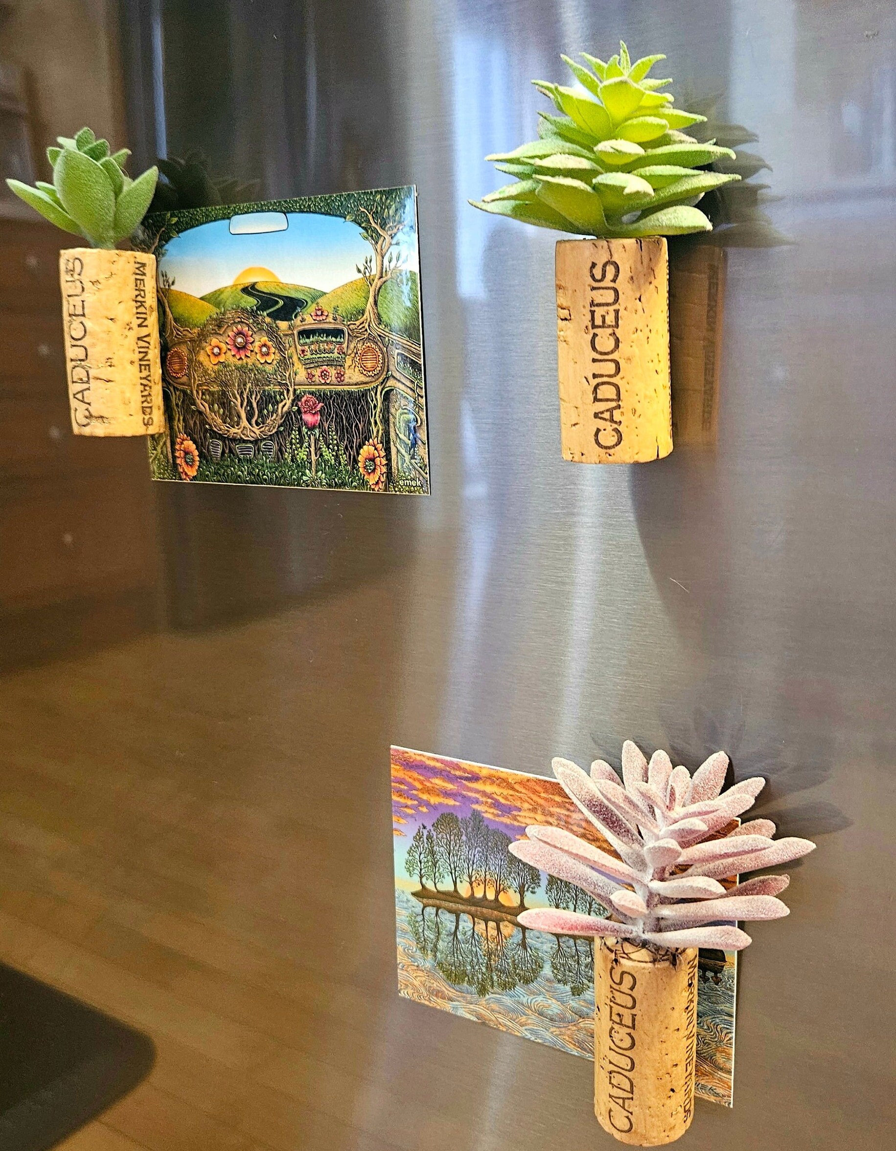 Caduceus Wine Cork Succulent Refrigerator Magnets | Set of 3 - Etsy