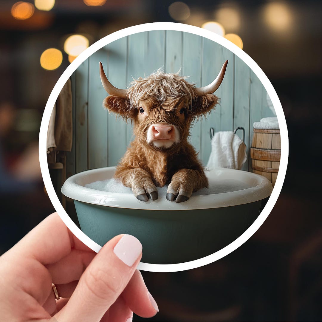Highland Calf Bath Kiss-cut Vinyl Decal Sticker, Scottish Cow Car Decal ...