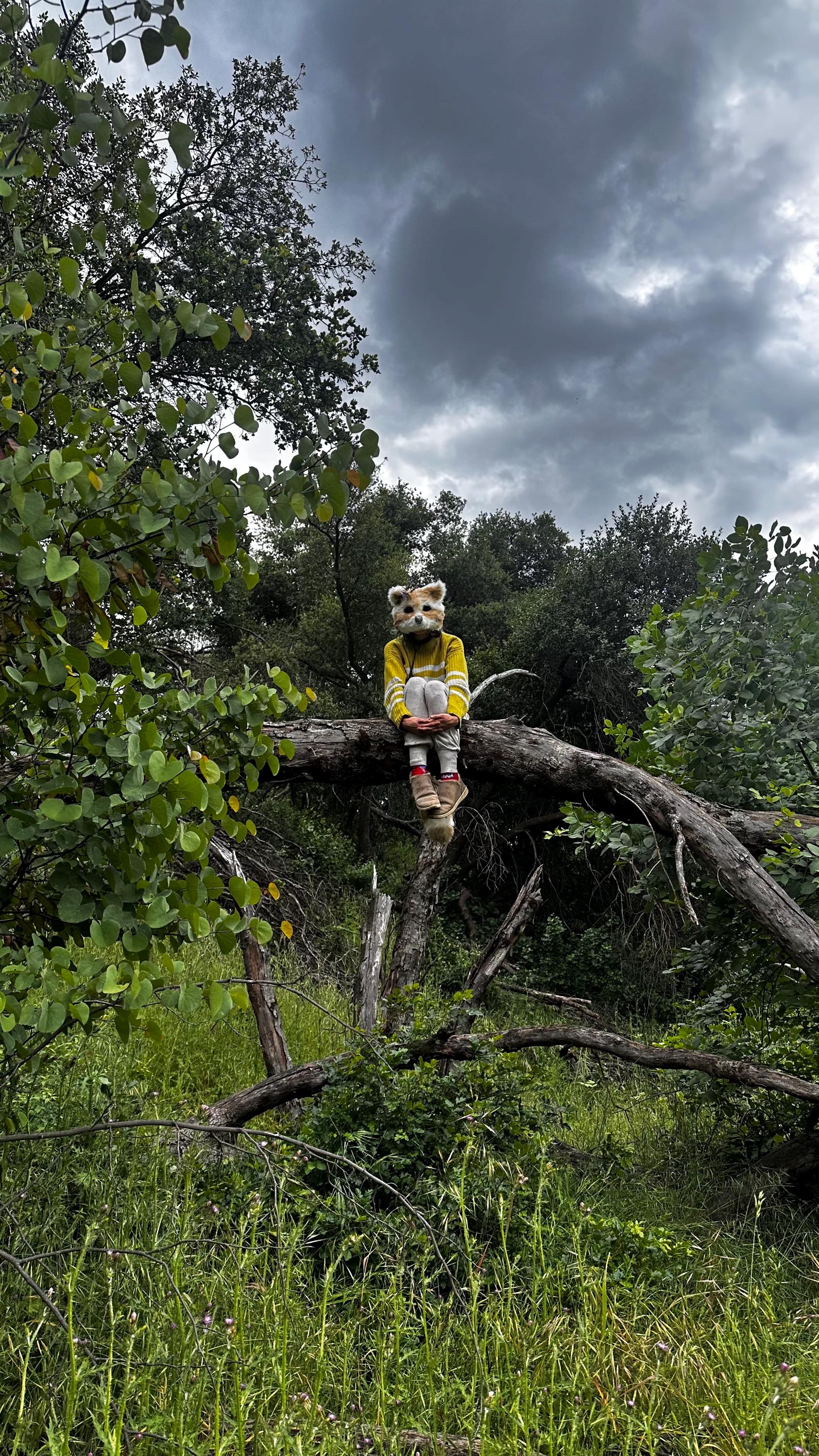 Handmade Blonde Raccoon Mask Tail - Etsy