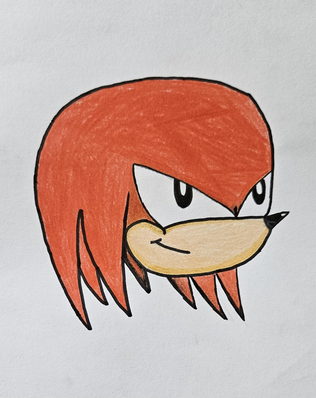 Knuckles Illustration - Etsy