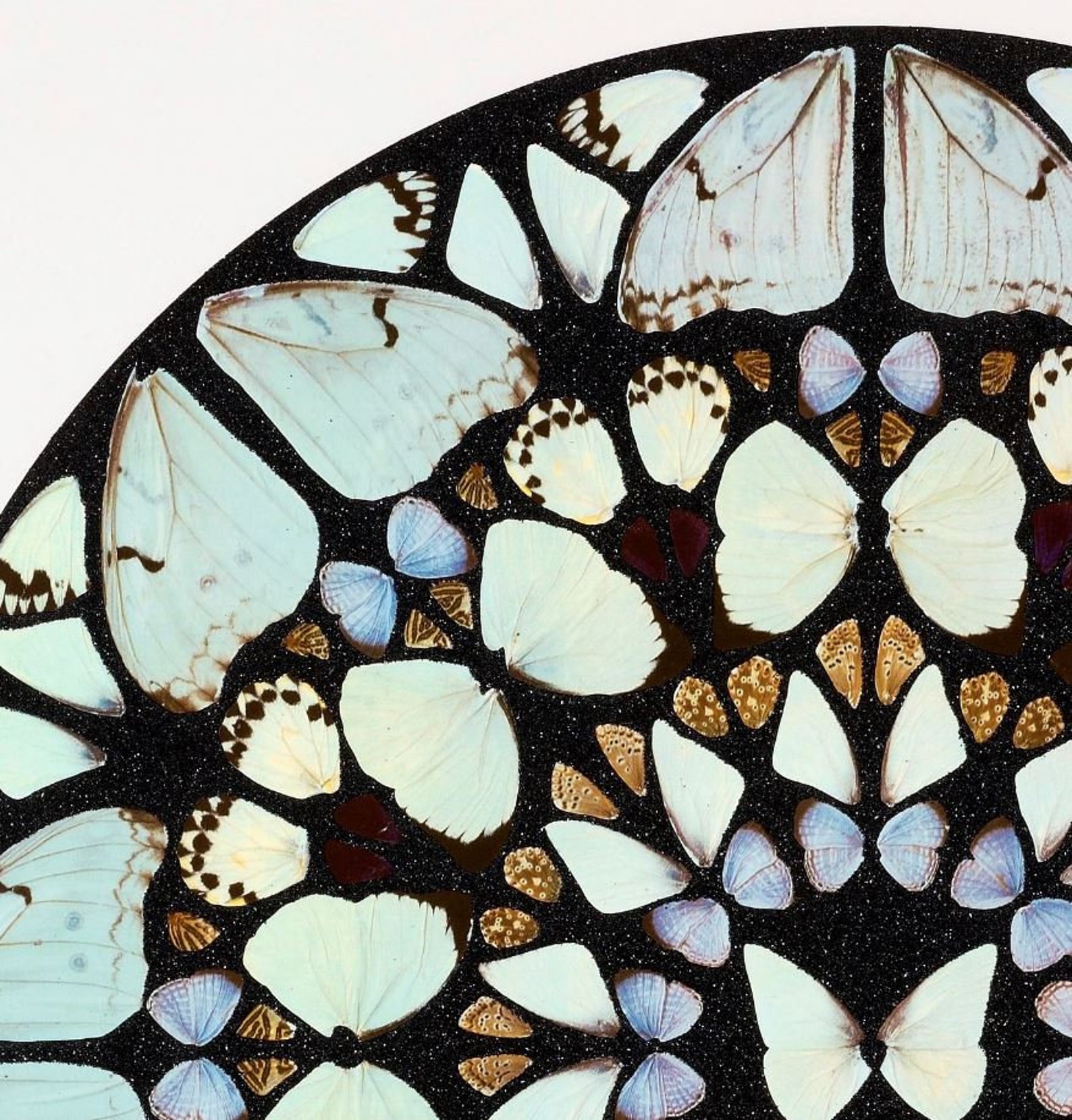 Damien Hirst, 'butterflies', Fine Art Print, Various Sizes - Etsy