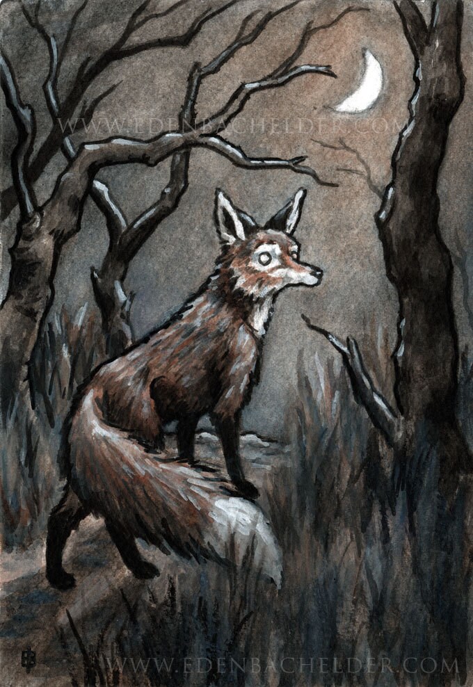 Signed and Matted Print of Original Red Fox and Moon - Etsy