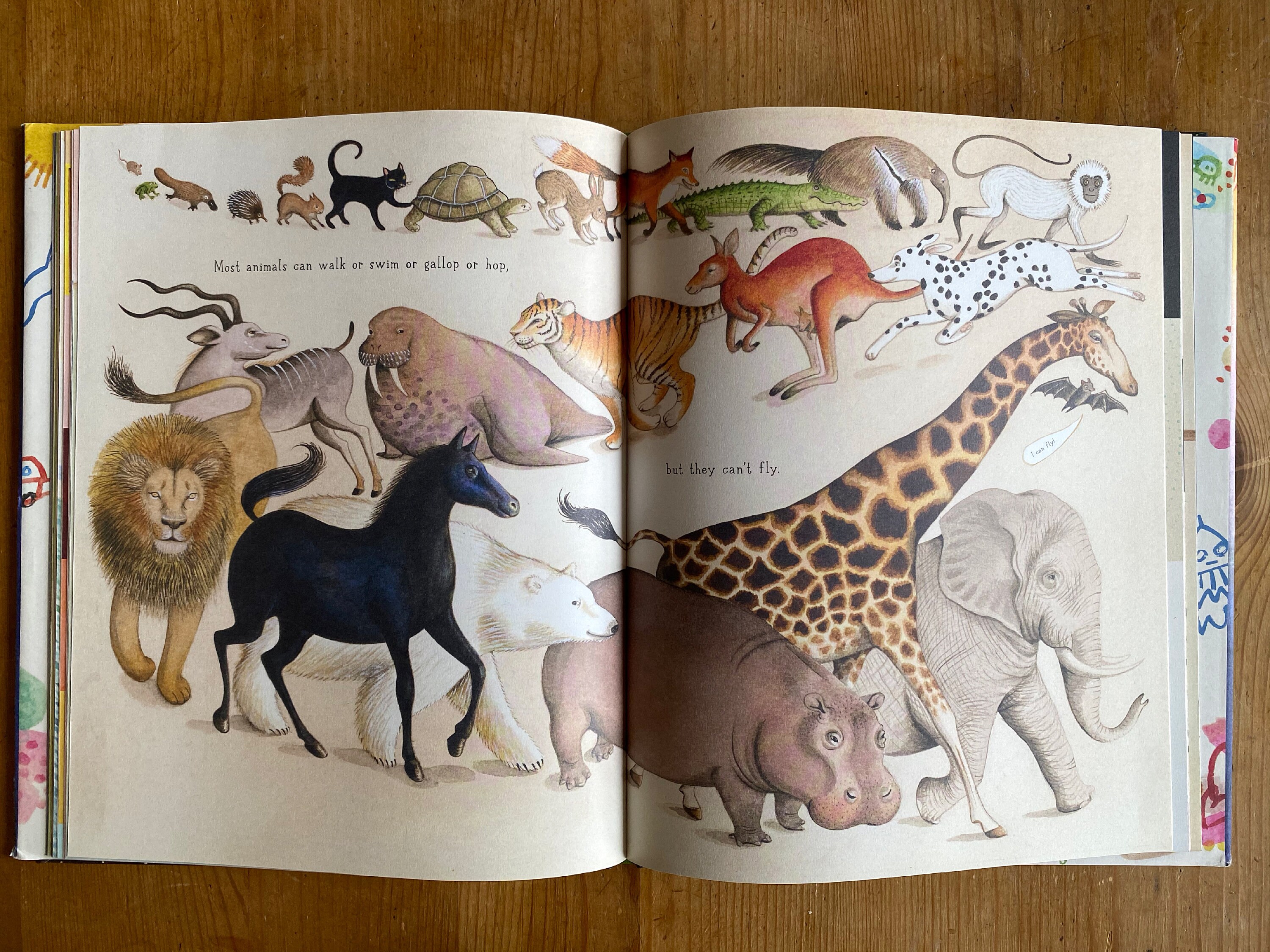 Here Are the Animals | Etsy