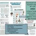 Aesthetic US Civics/government/history Poster Bundle - Founding US ...