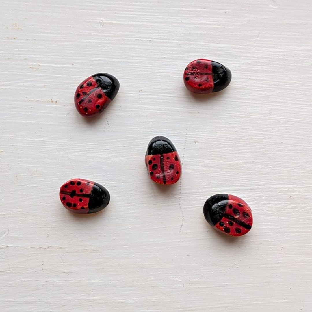 Mini Ladybug Magnets (set of 5) - Handmade Ceramic Fridge Magnet - Etsy