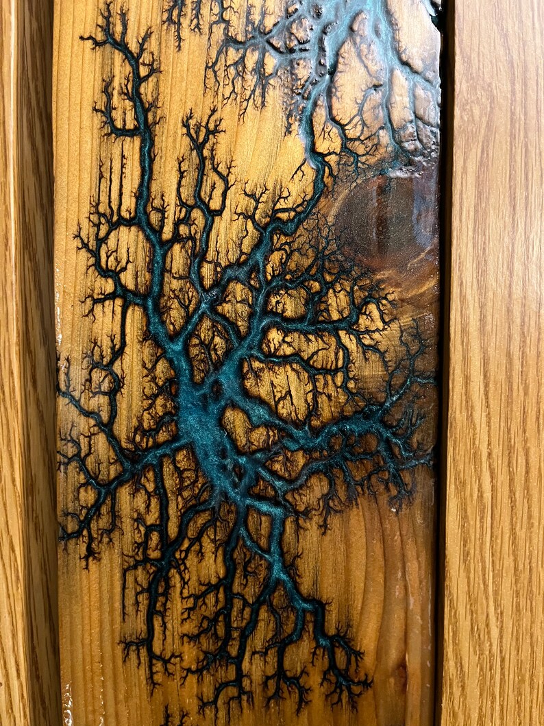 Fractal Burning Wood Shop Art Epoxy Wall Color Hang Burn Litchtenburg ...