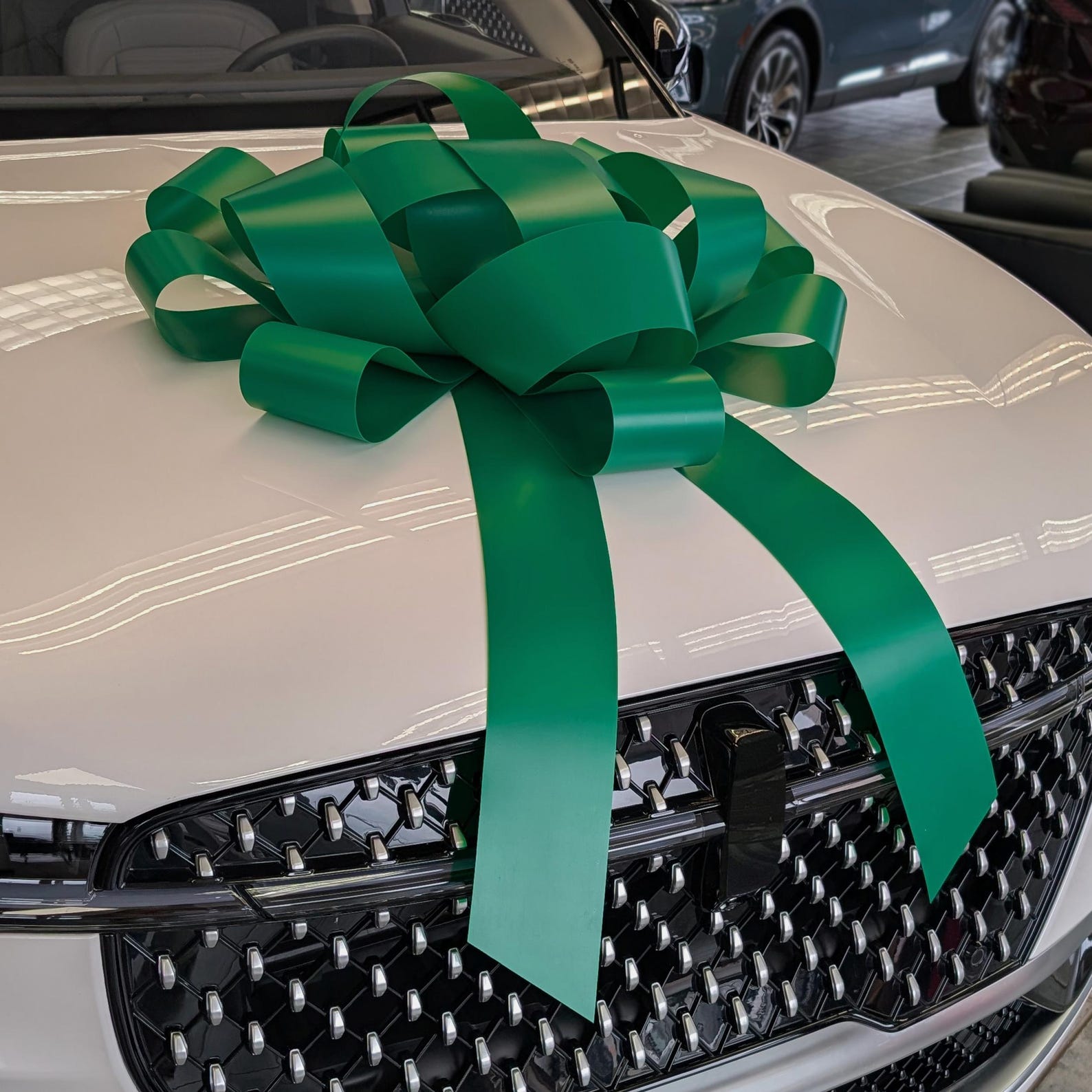 Giant Green Car Bow 47" Waterproof Vehicle Decoration Birthday Gift ...