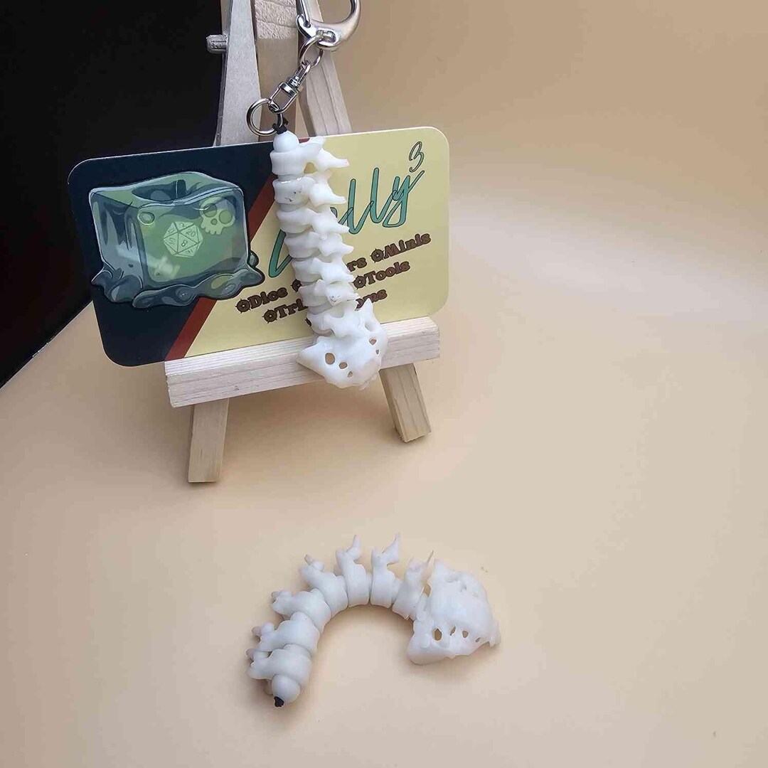 Anatomically Correct Spine Keychain, Skeletal Fidget Toy - Etsy