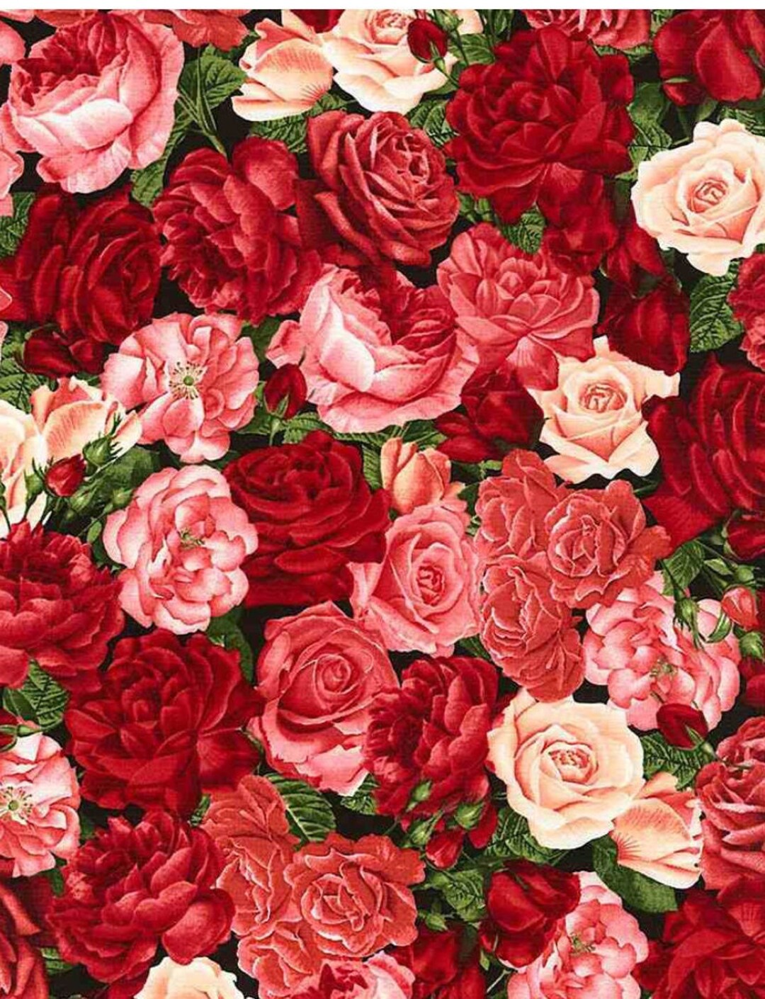 Packed Roses Floral Cotton Fabric C5815 by Timeless Treasures - Etsy