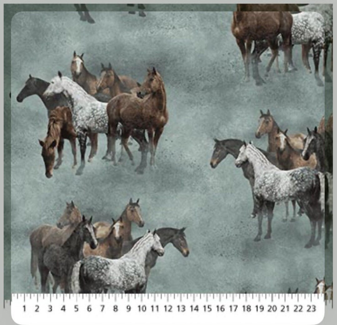 Frontier Horses on Heritage Blue Cotton Fabric by Northcott 25180-64 - Etsy