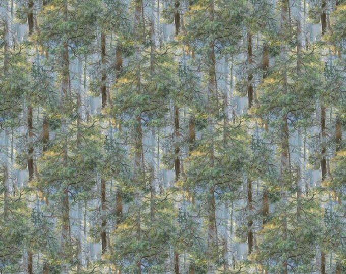 Bears Den Fabric From the Collection Cotton Quilt Fabric by Northcott ...