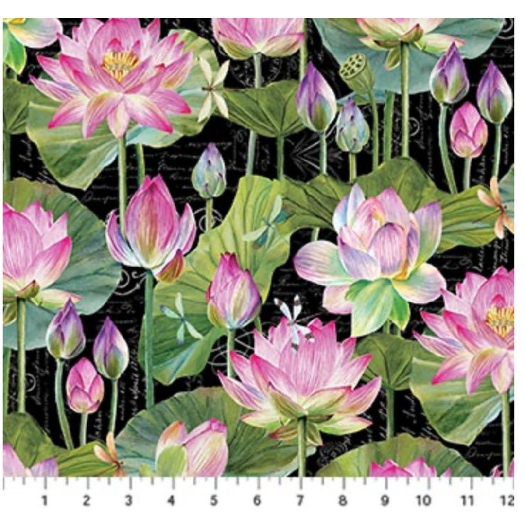Water Lilies Cotton Fabric by Northcott DP25057-99 - Etsy
