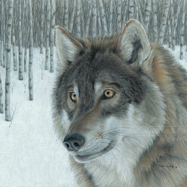 Wolf Fabric Panel - Etsy