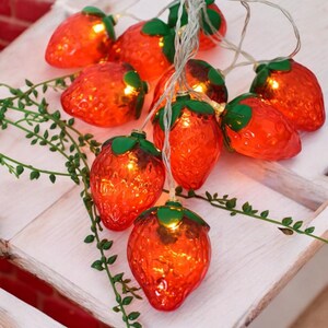 Whimsical Strawberry String Lights | Cascade Light Garland | Indoor ...