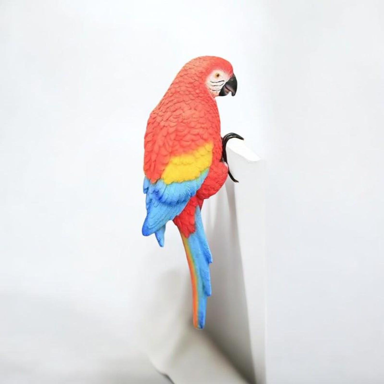 Realistic Macaw Wall Decor | Hanging Parrot Sculpture | Tropical Garden ...