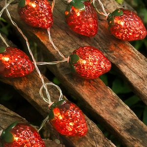 Whimsical Strawberry String Lights | Cascade Light Garland | Indoor ...