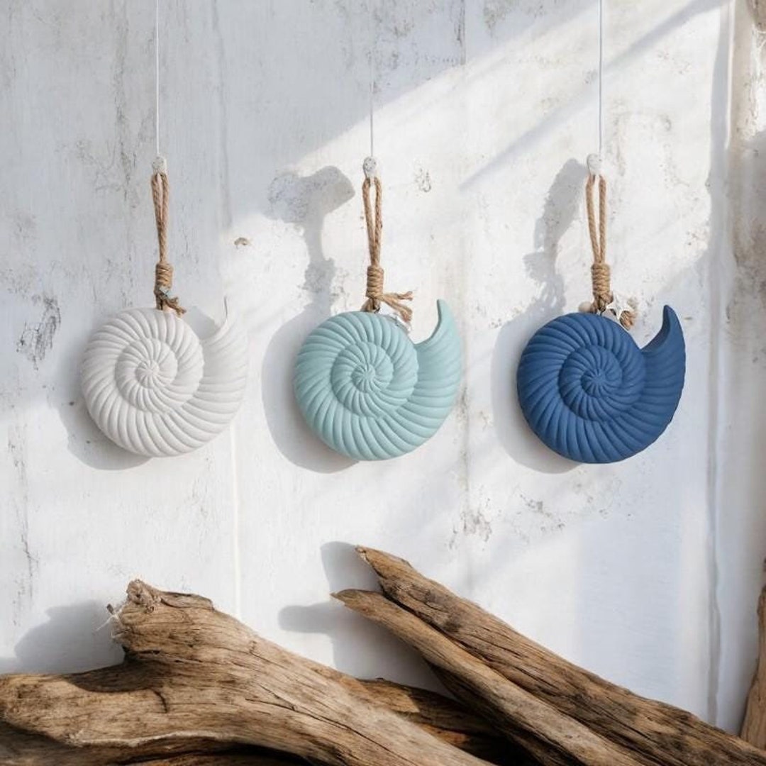 Hanging Single Sea Shell Wall Decor, Nautical Home Decor, Mediterranean ...