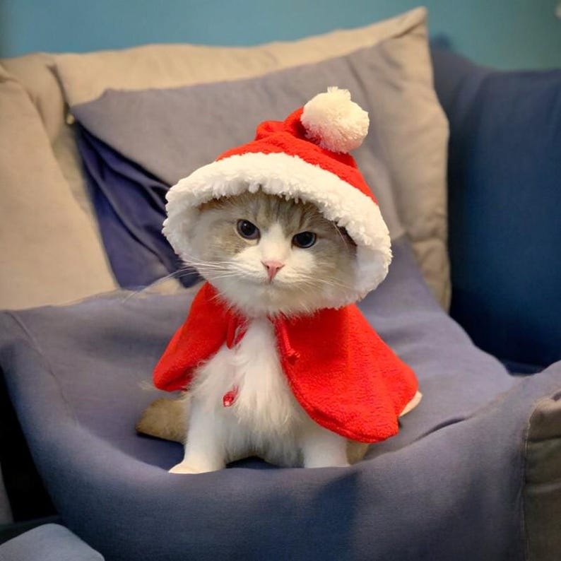 Cat Christmas Costume, Santa Cat Outfit, Pet Christmas Cape, Cat Santa ...