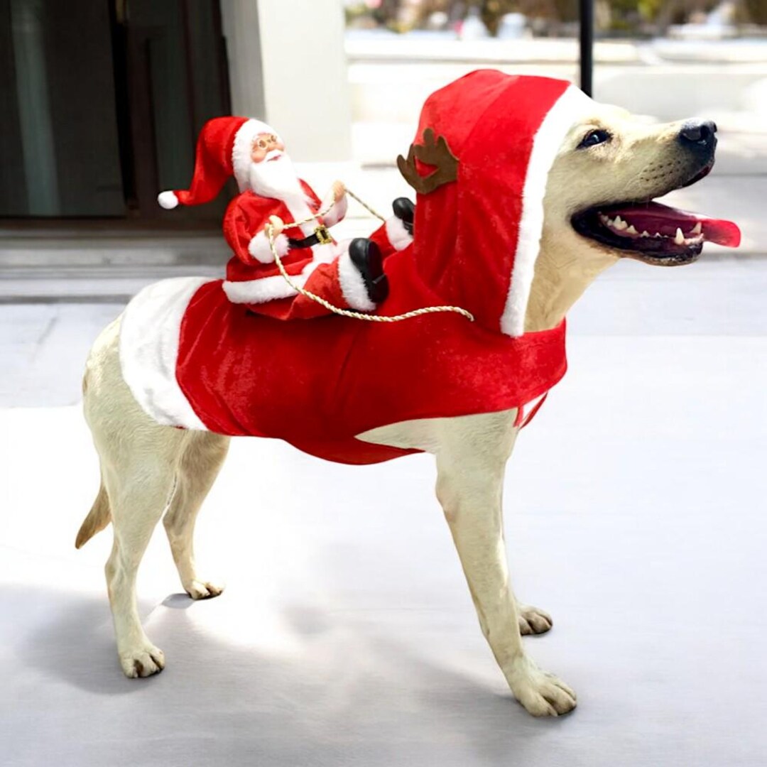 Funny Dog Santa Costume Pet Christmas Outfit With Riding Santa Festive ...