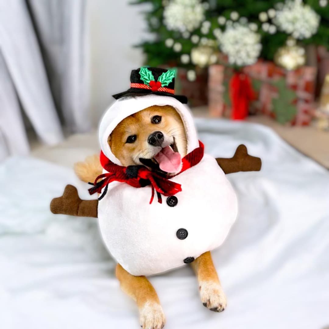 Adorable Snowman Pet Costume, Festive Dog Outfit, Christmas Pet Clothes ...