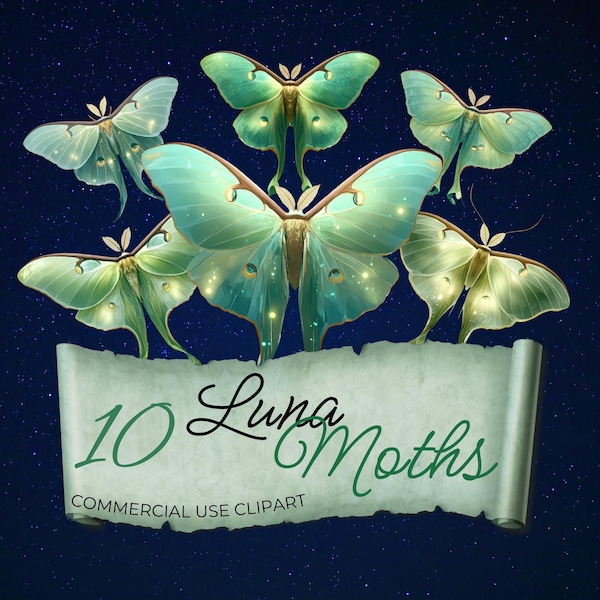 Luna Moth - Etsy