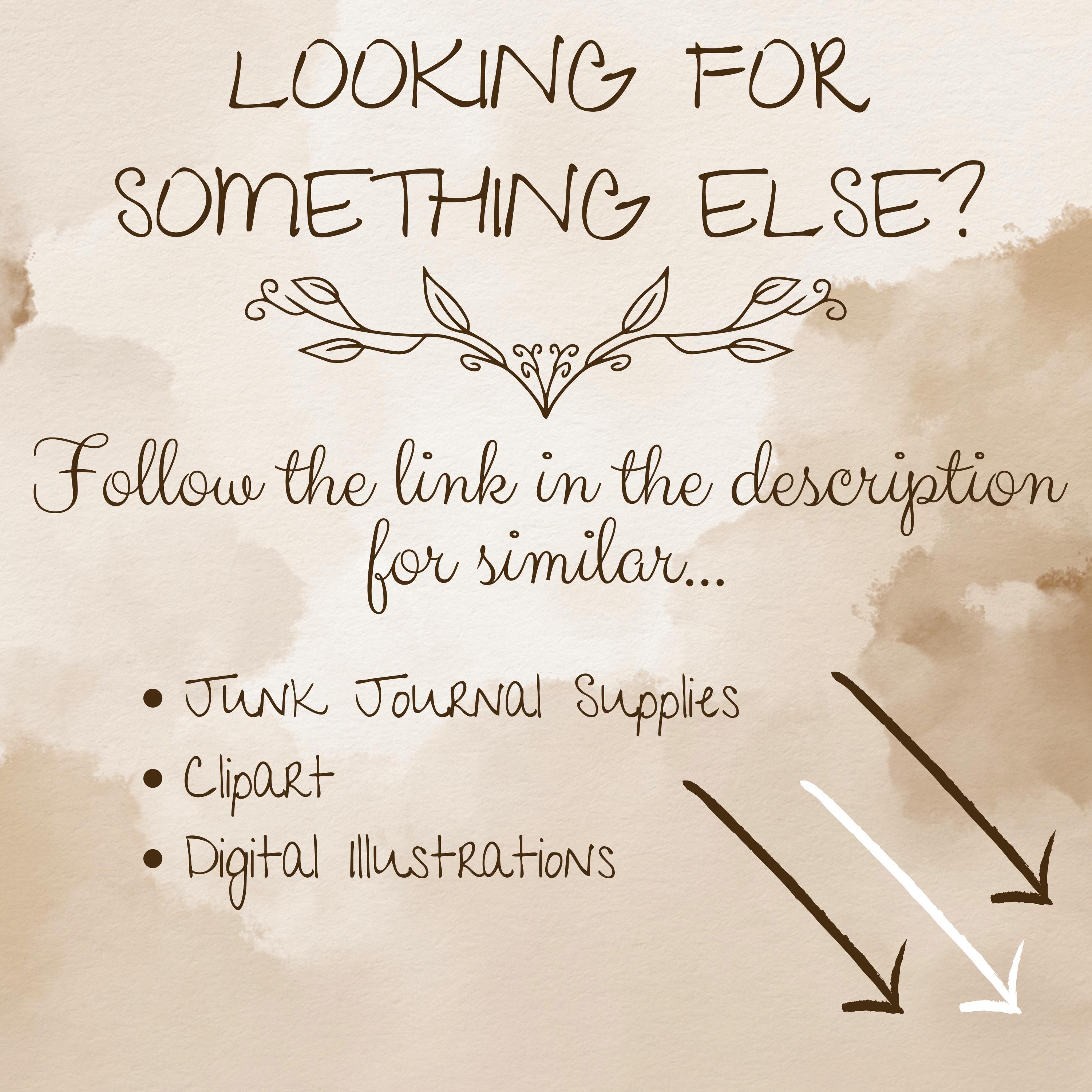 Elven Alphabet Letters Clipart X26 Commercial Use Enchanted Forest ...