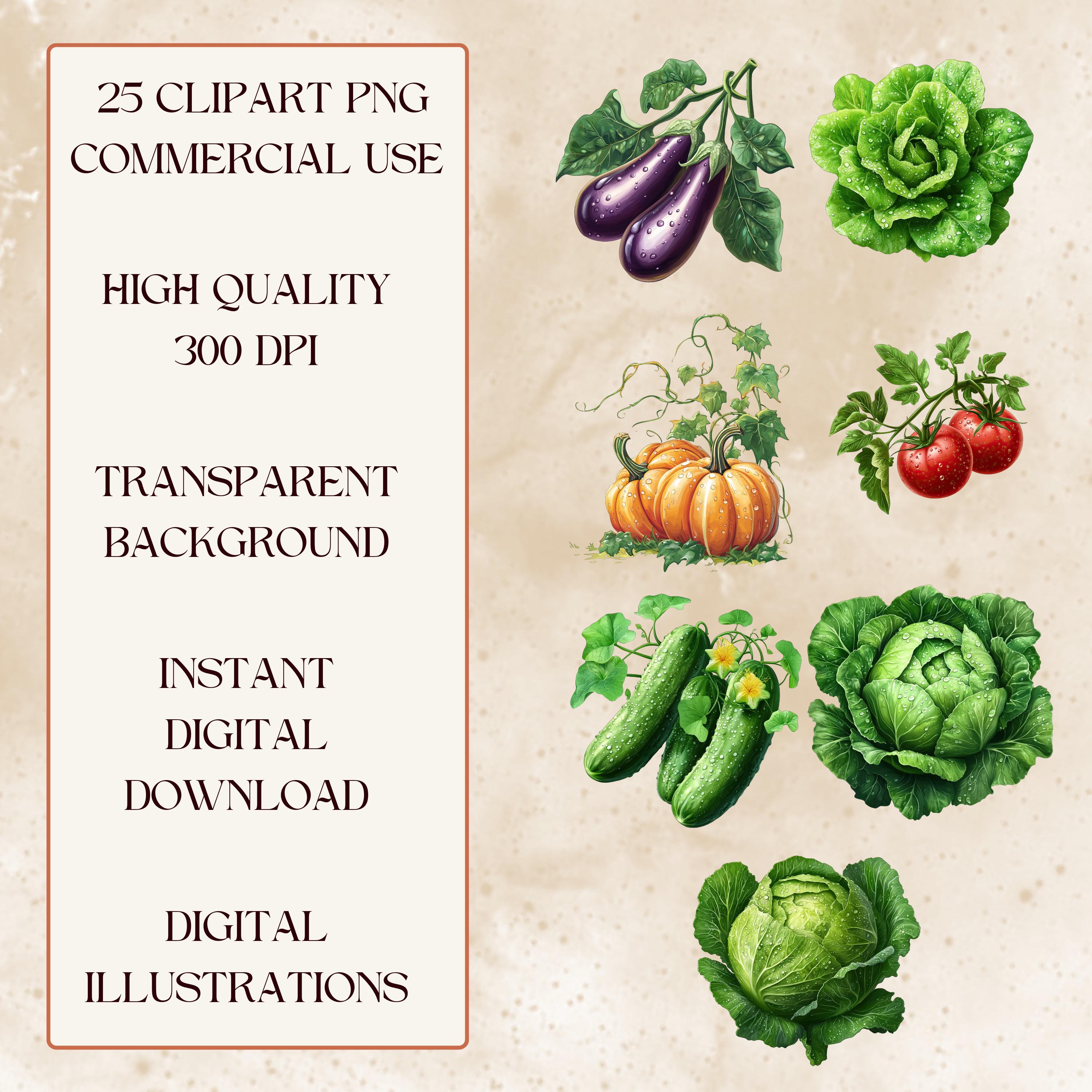 Vegetables Clipart: 25 Fresh Garden Veggies, Commercial Use (PNG ...