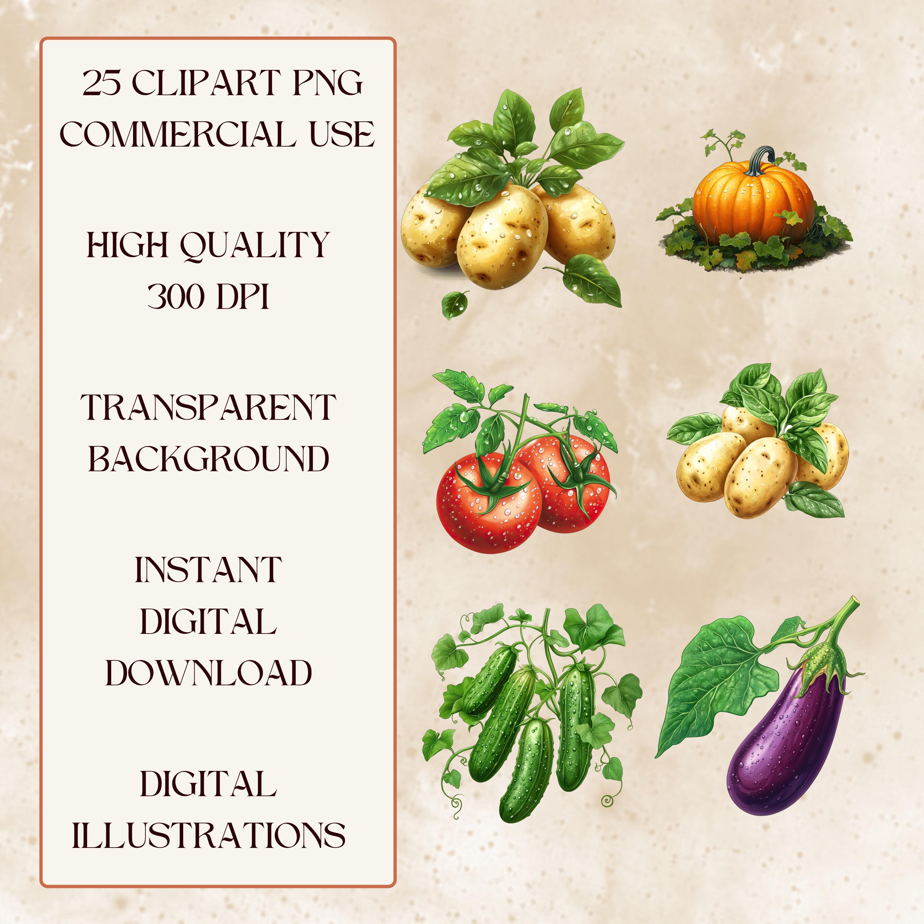 Vegetables Clipart: 25 Fresh Garden Veggies, Commercial Use (PNG ...