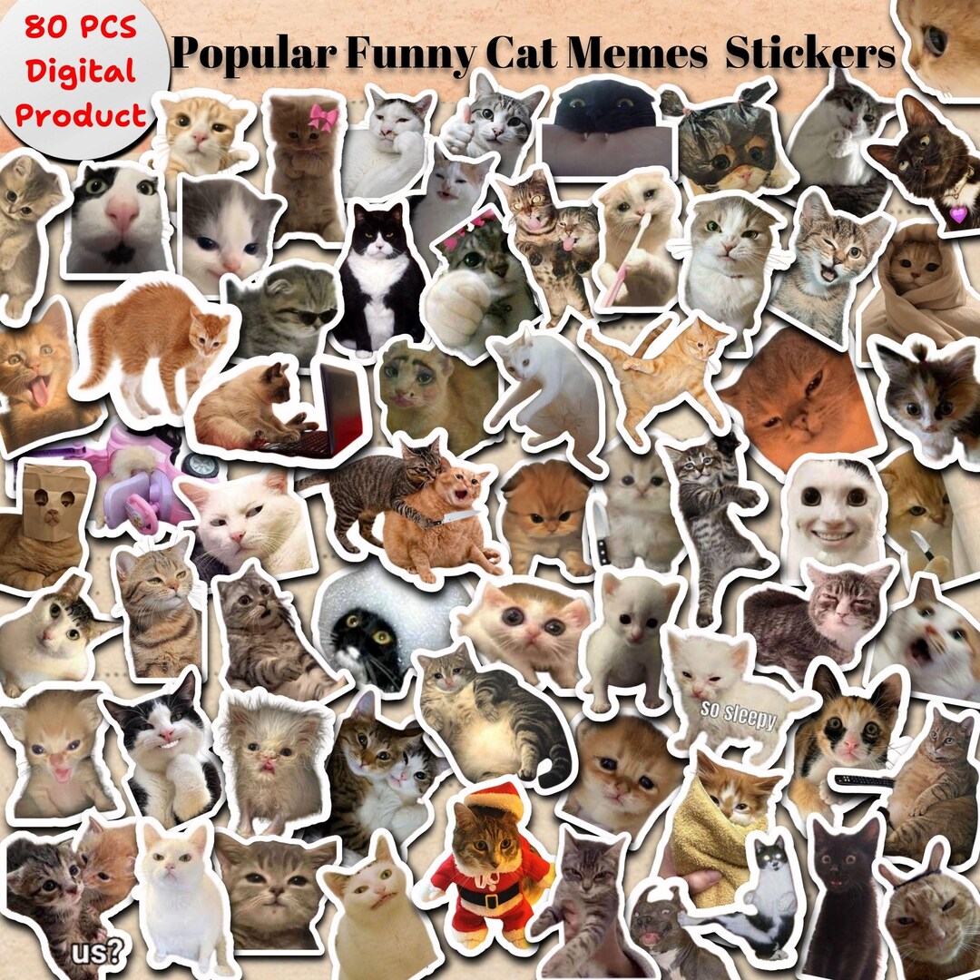 Funny Cat Meme Stickers: 80 PNG Images (digital Download) - Etsy