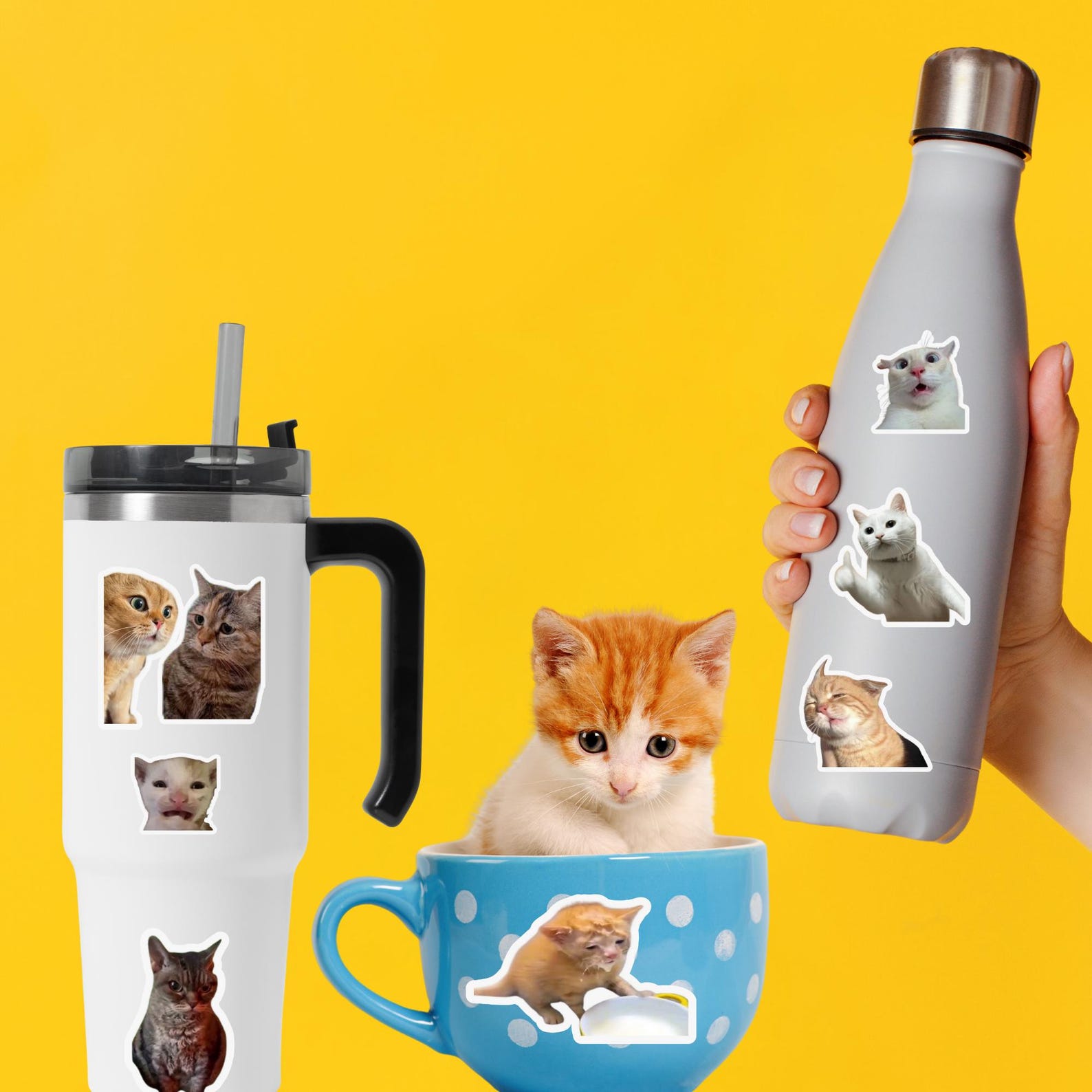 80 Popular Funny Cat Stickers, Digital Funny Cat Memes, Viral Funny ...