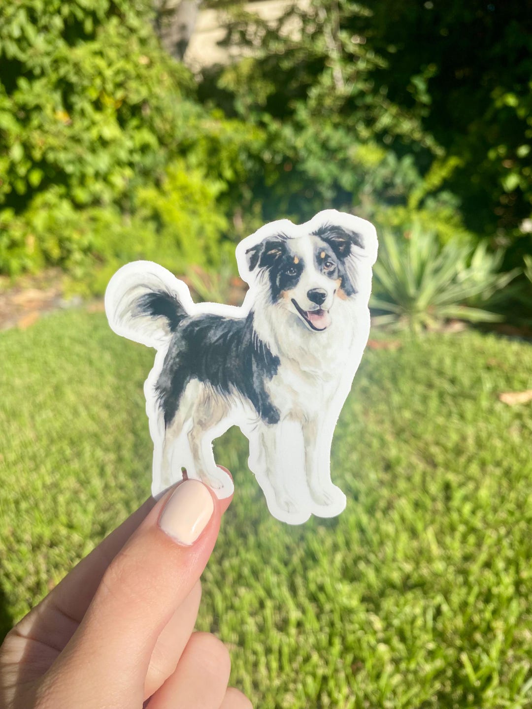 Classic Border Collie Sticker, 2.9x3in - Etsy