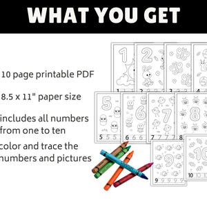 Numbers 1-10 Color and Trace Worksheet: Numeracy Printable (PDF) - Etsy