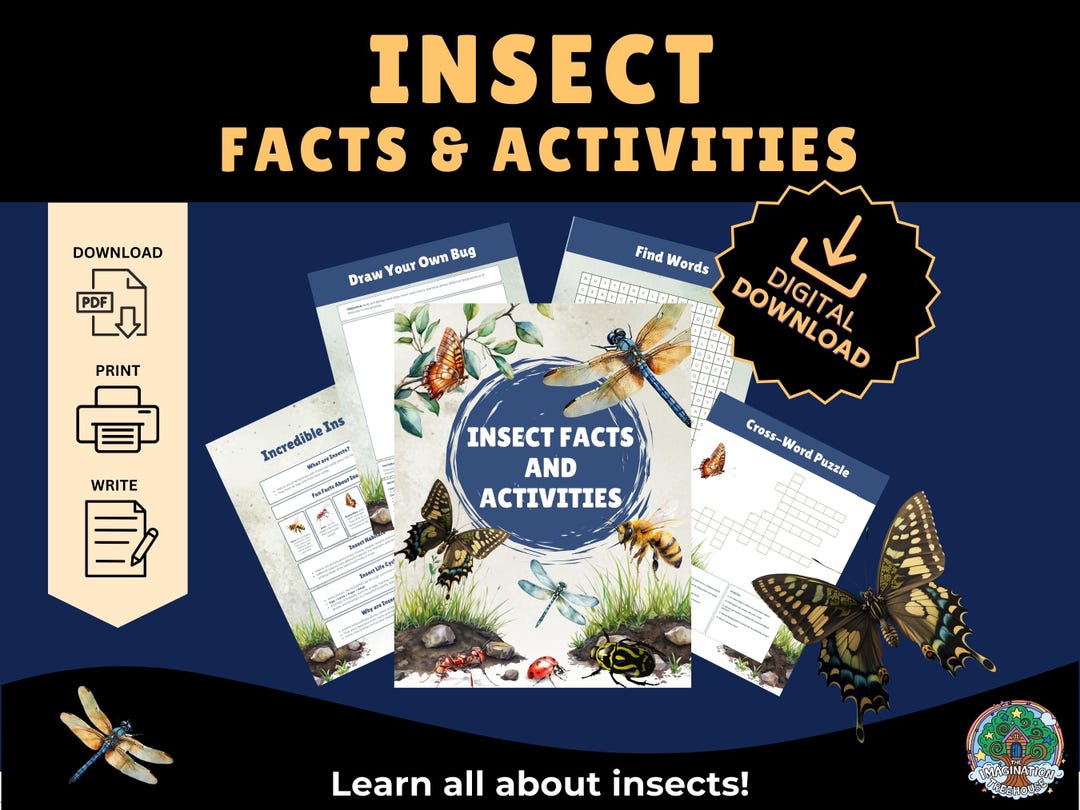 Insect Facts and Activity Kit, Insect Activity for Kids, Insect ...