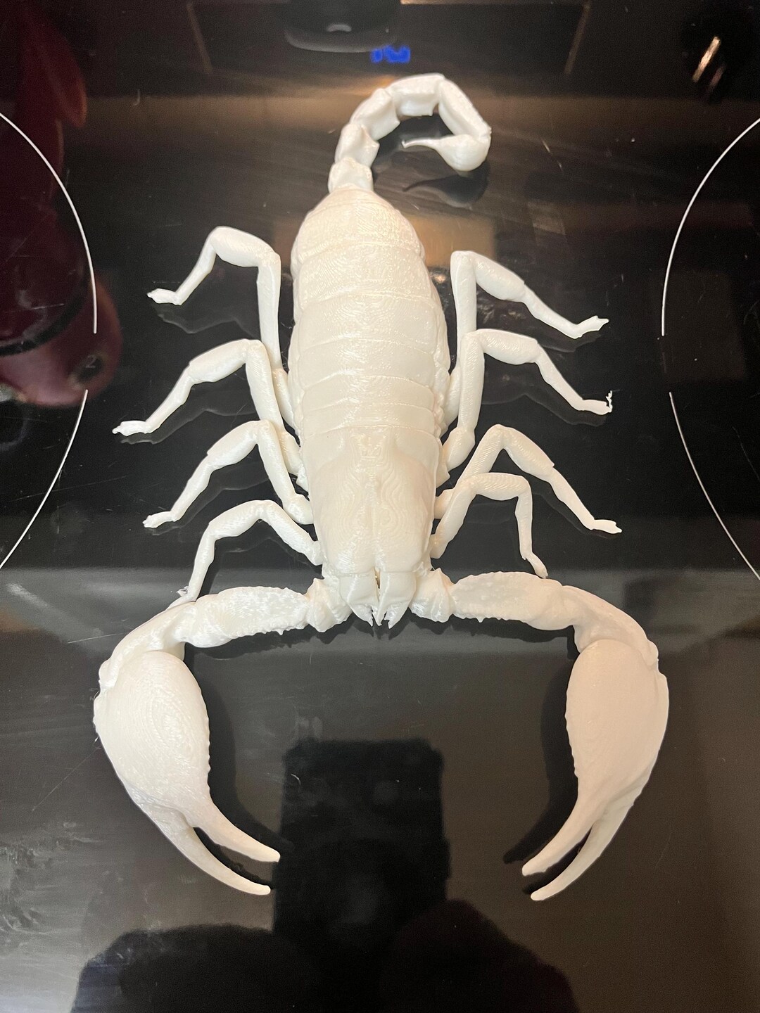 3D Printed White Scorpion - Etsy