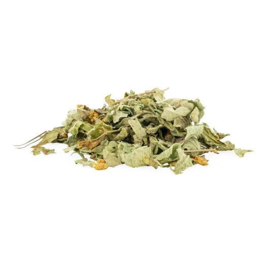 Mexican Dream Herb Calea Zacatechichi Dream Herb Lucid Dreaming - Etsy