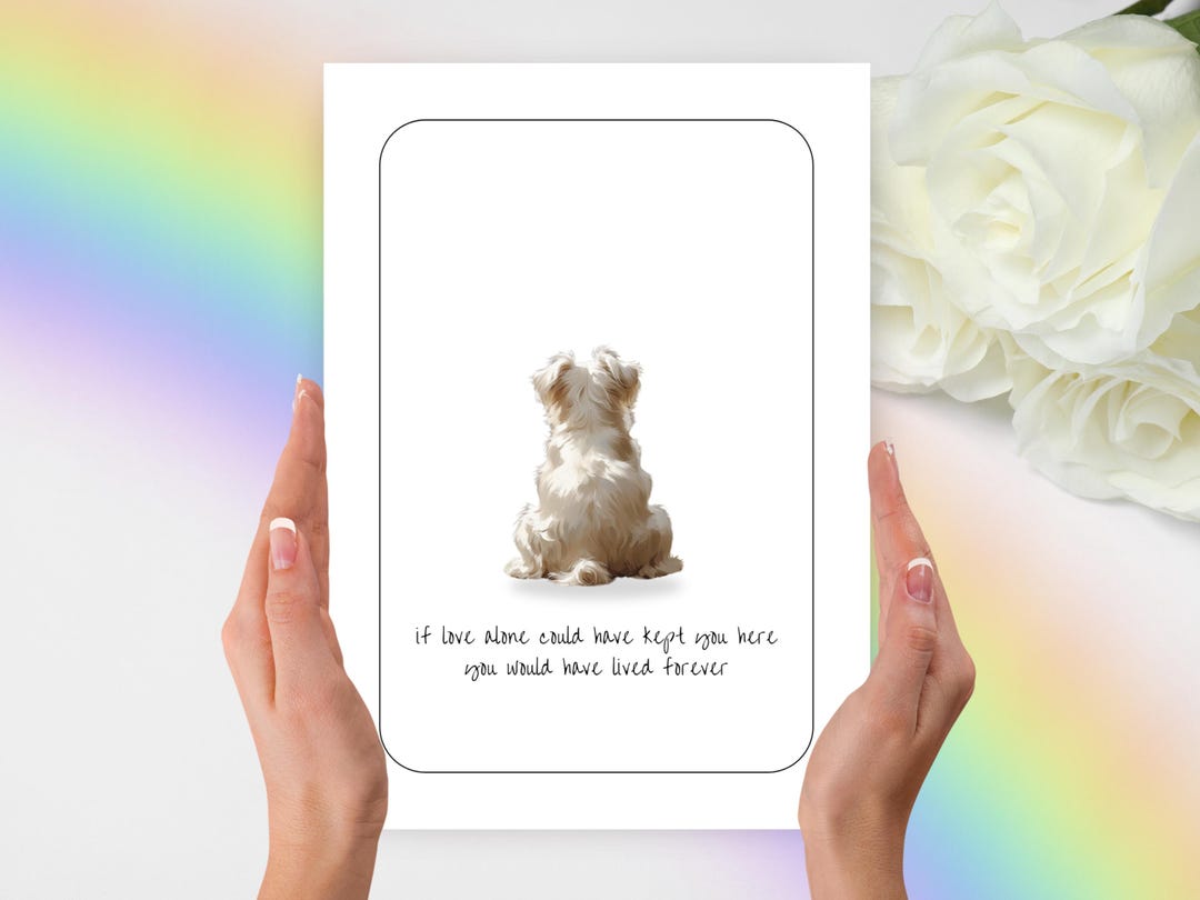 Maltese Sympathy Card, Maltese Condolence Card, Maltese Gift ...