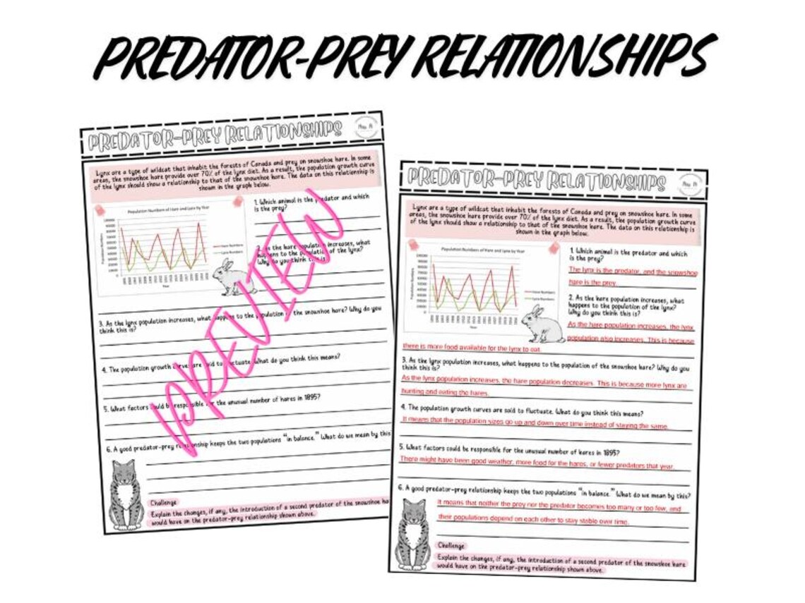 Predator-prey Relationships Worksheet KS3 - Etsy