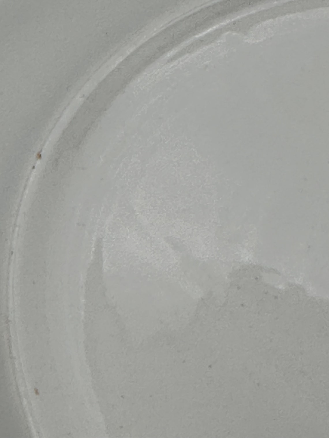 Scio Pottery Holly Pattern Dinner Plate 10 1/8”, MCM Holly With Berries ...