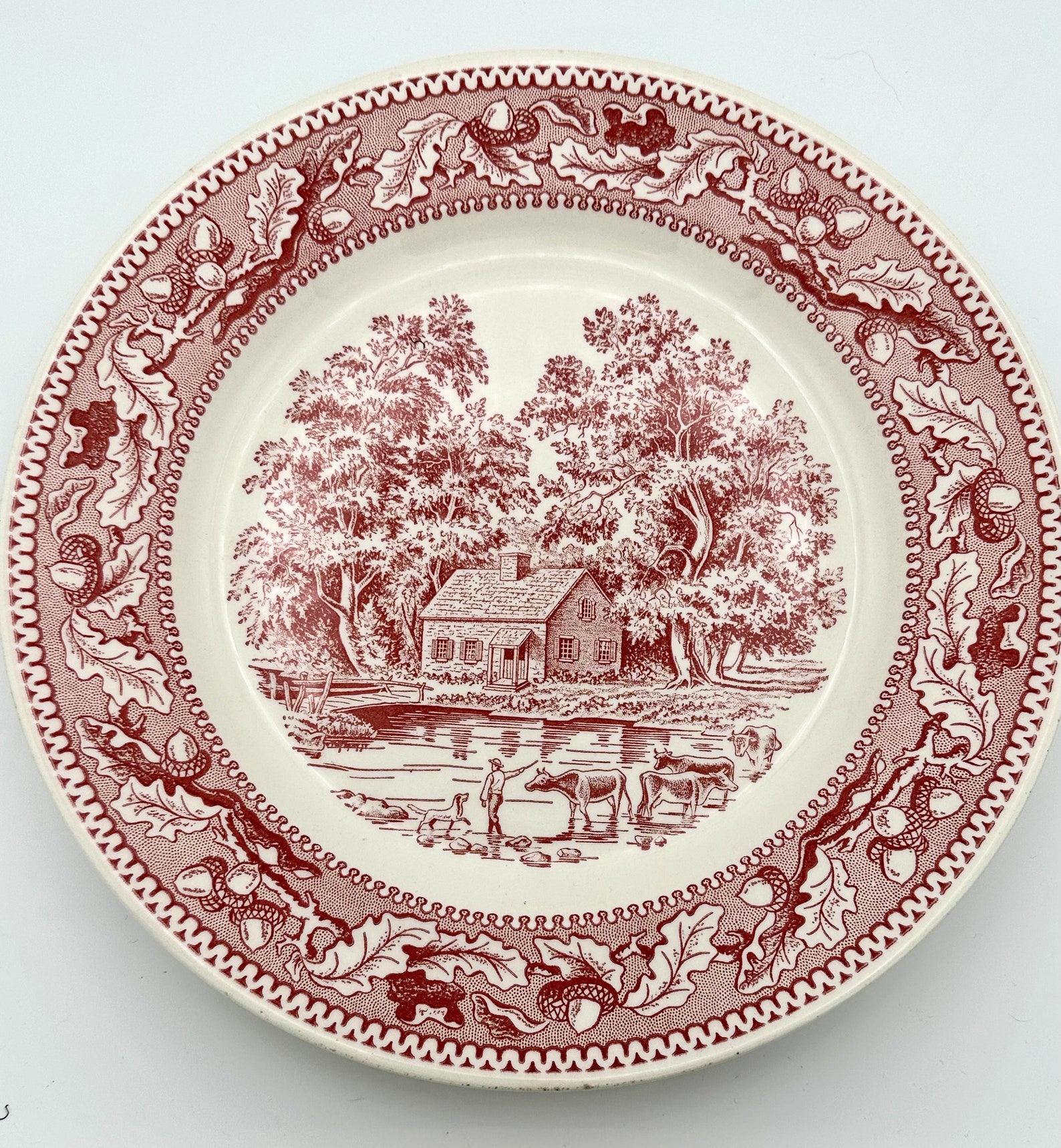 Royal China Inc Memory Lane Pink Pattern Dinner Plate 10”, Acorn & Leaf ...