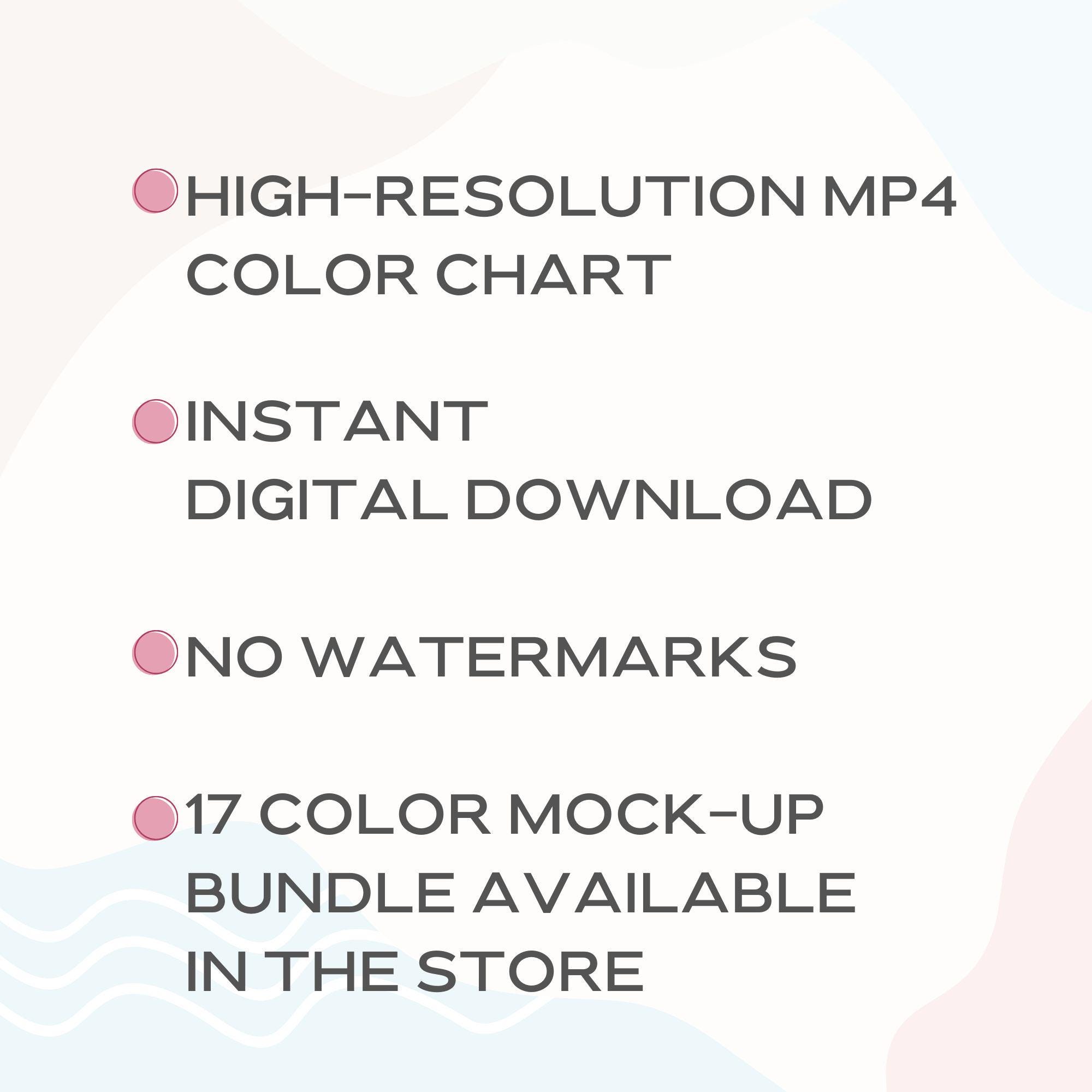 Rabbit Skins 3322 Video Color Chart Mockup MP4 17 Colors Digital ...