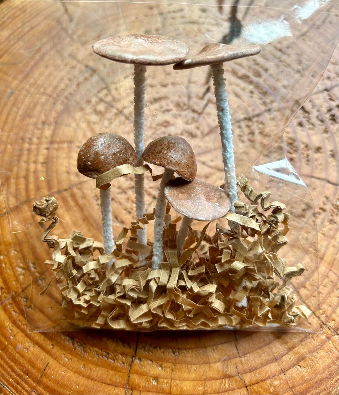 Poseable Pipe-cleaner Stem Mushrooms for Crafting 5 Pack - Etsy