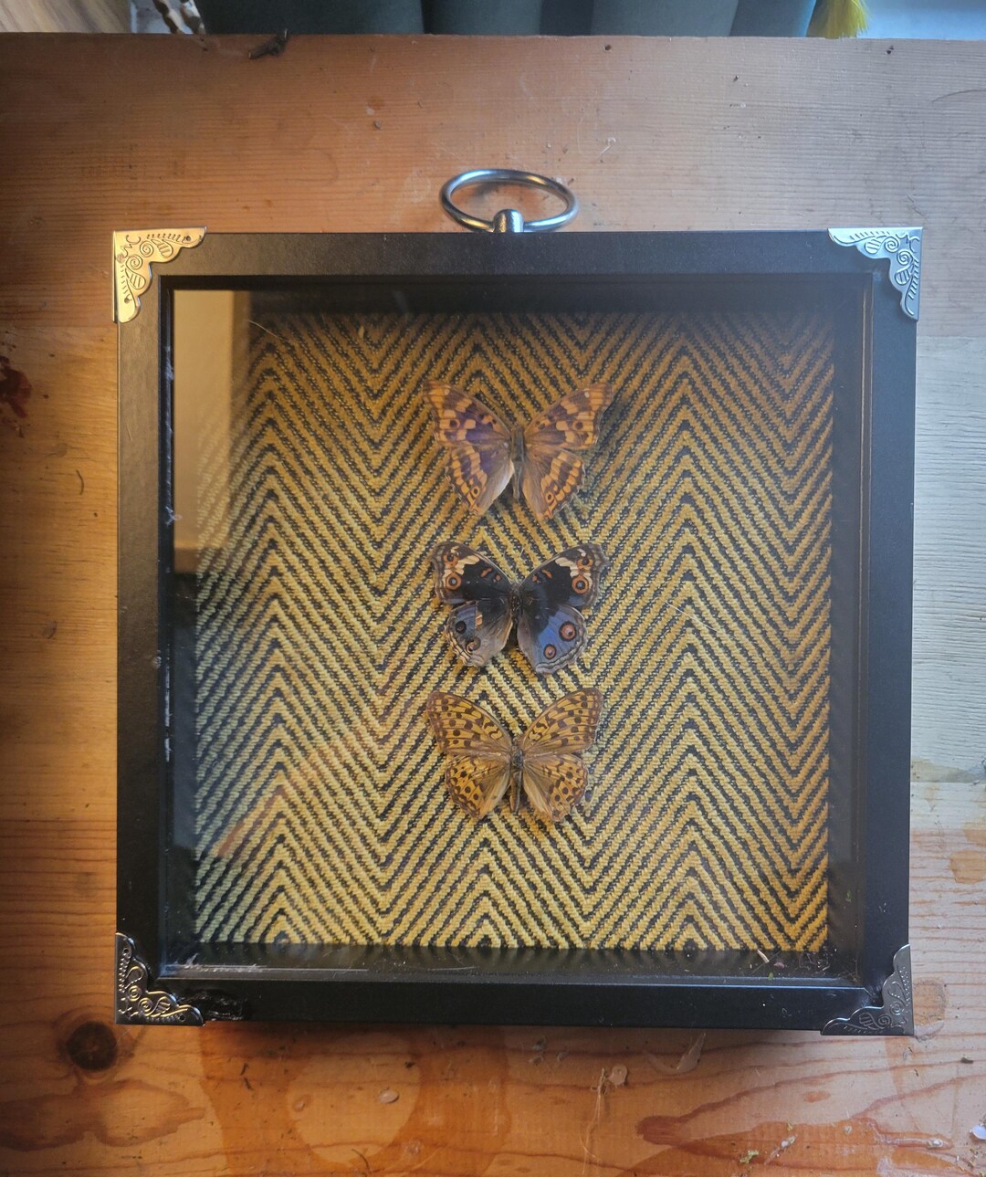 Chevron Multiple Butterfly Shadow Box - Etsy