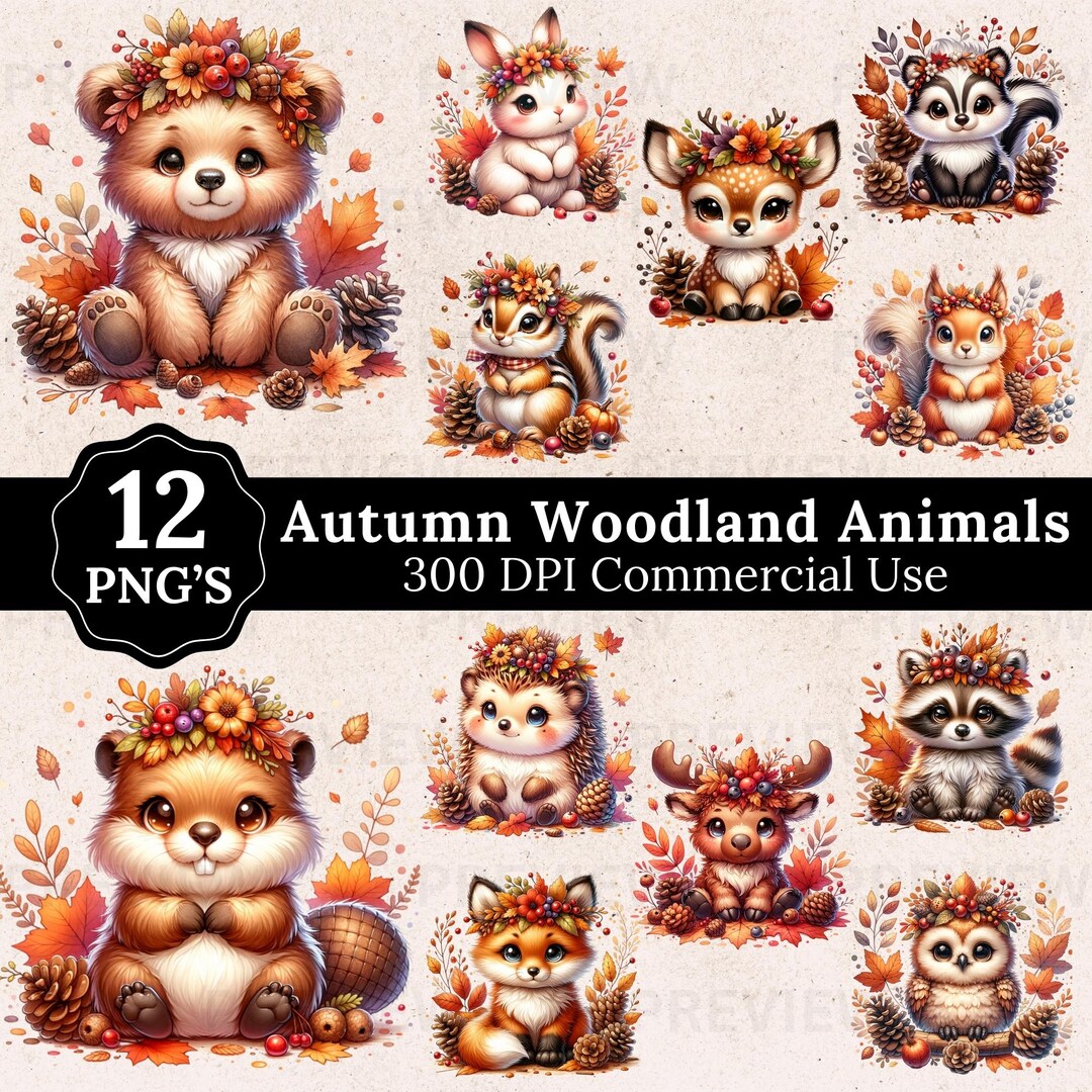 Autumn Woodland Animal PNG Set, 12 Cute Forest Animal Clipart Images ...