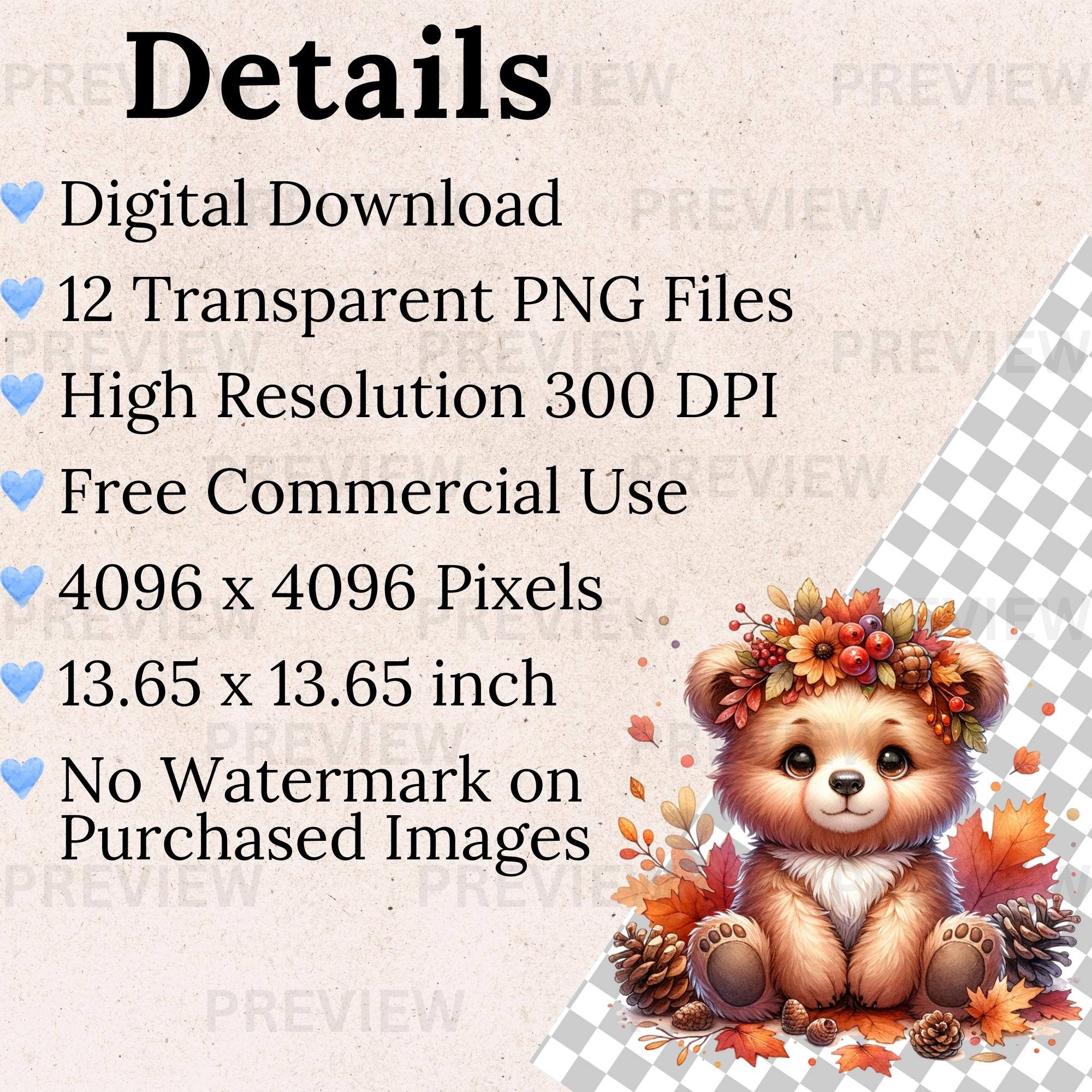 Autumn Woodland Animal PNG Set, 12 Cute Forest Animal Clipart Images ...