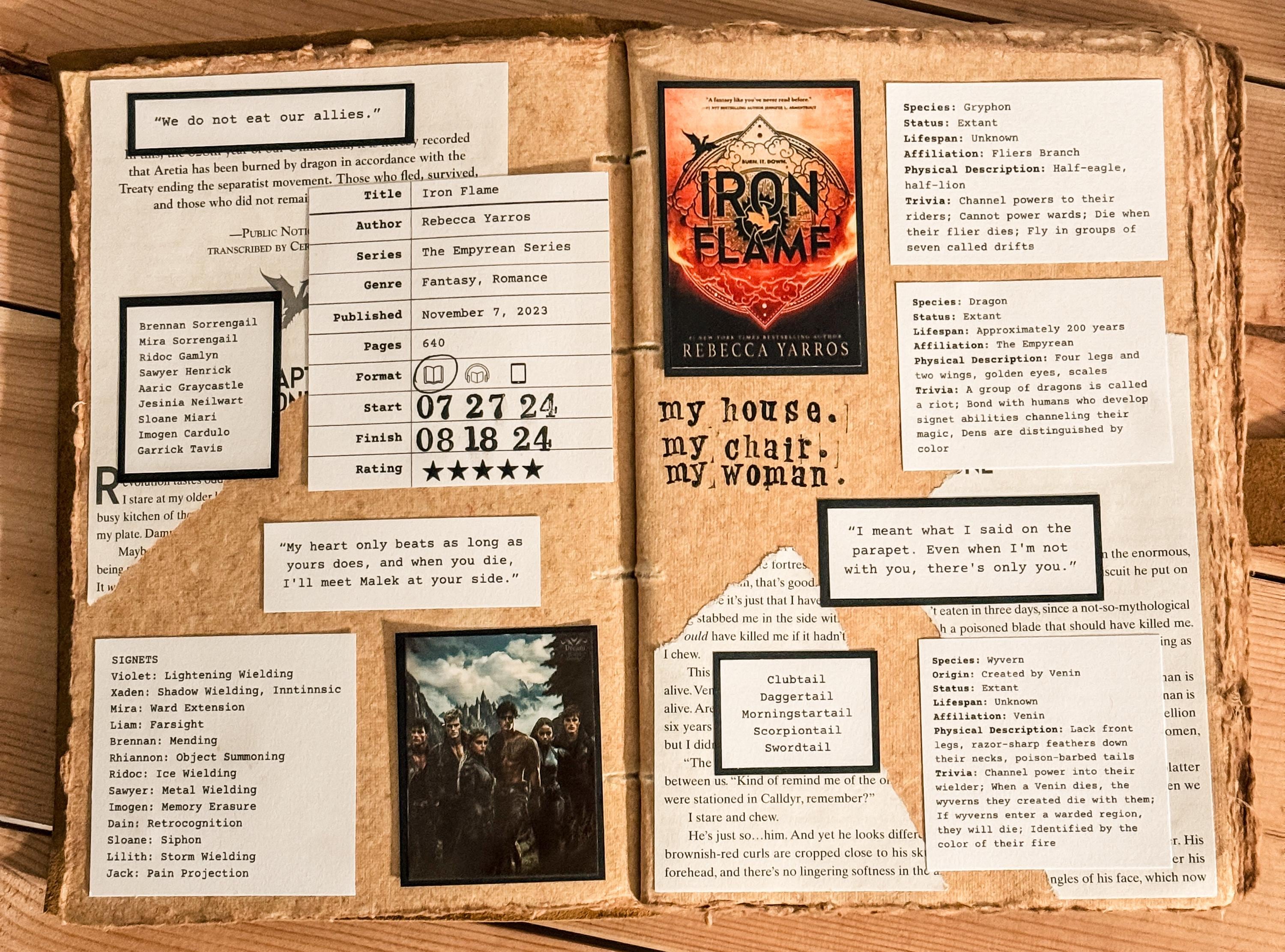 Iron Flame Book Review Kit - Etsy